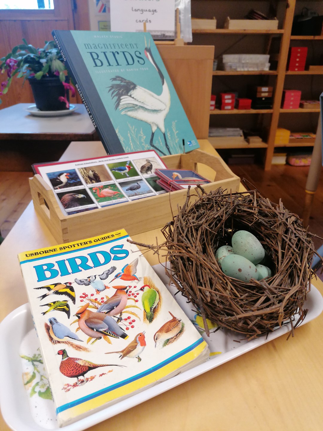 RSPB Big Garden Bird Watch 2023 – Wharfedale Montessori School and College